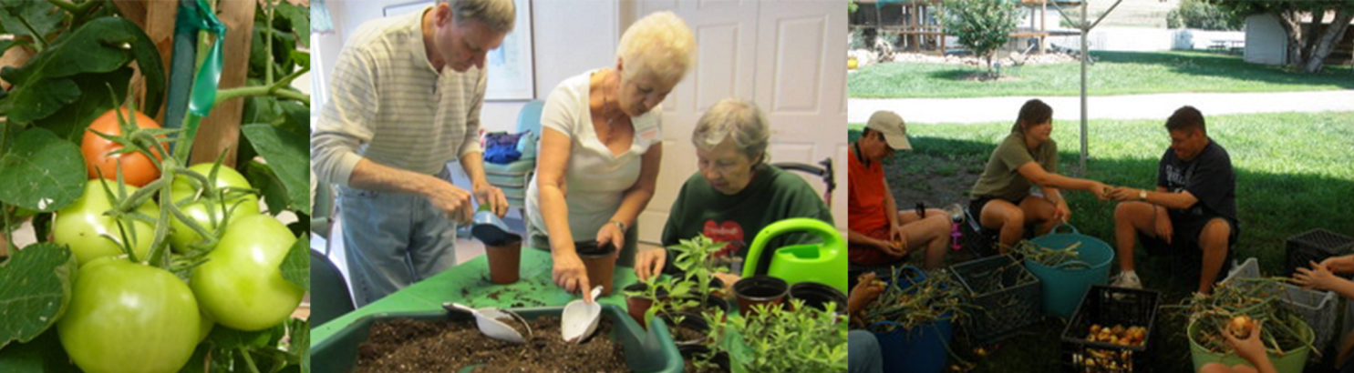 Newsletters - Horticultural Therapy Institute