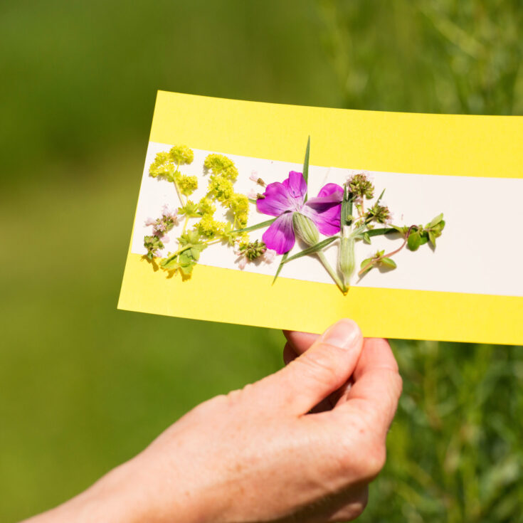 Practicing & Teaching Horticultural Therapy in Austria - Horticultural ...