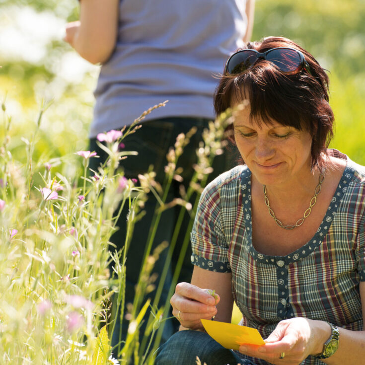 Practicing & Teaching Horticultural Therapy in Austria - Horticultural ...