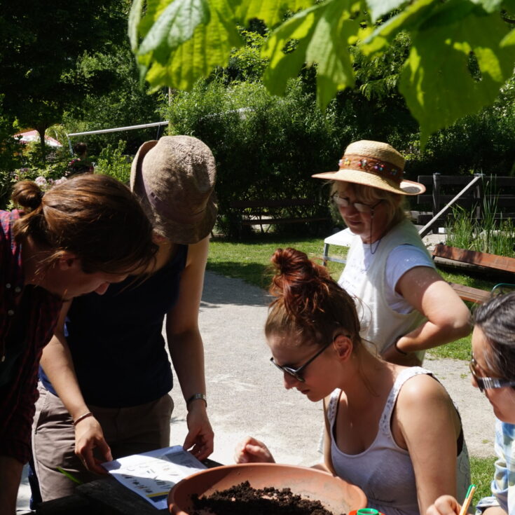 Practicing & Teaching Horticultural Therapy in Austria - Horticultural ...