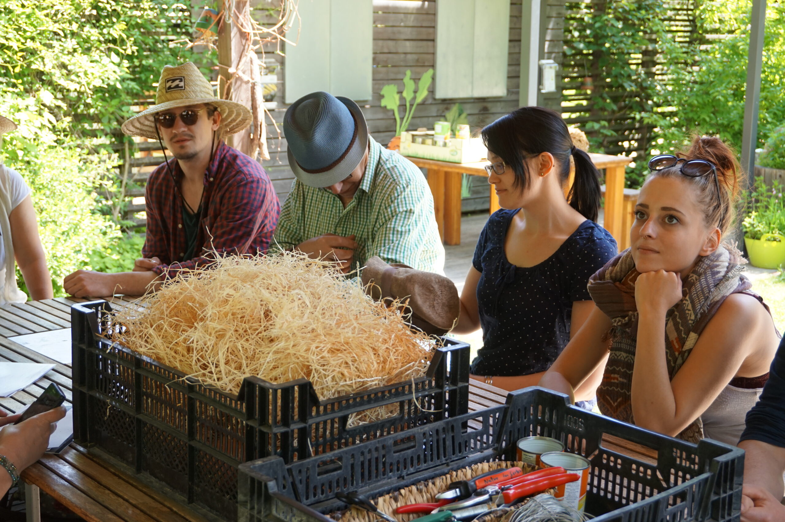 Practicing & Teaching Horticultural Therapy in Austria - Horticultural ...