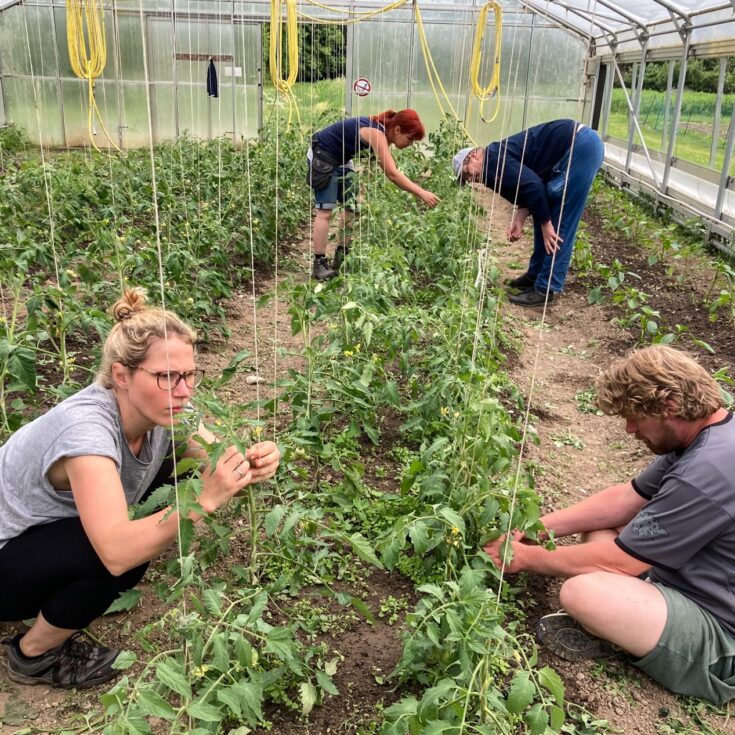 Practicing & Teaching Horticultural Therapy in Austria - Horticultural ...